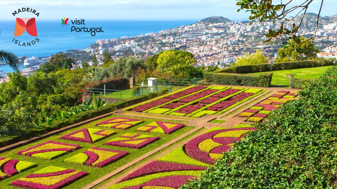 Blütenzauber auf Madeira | trendtours