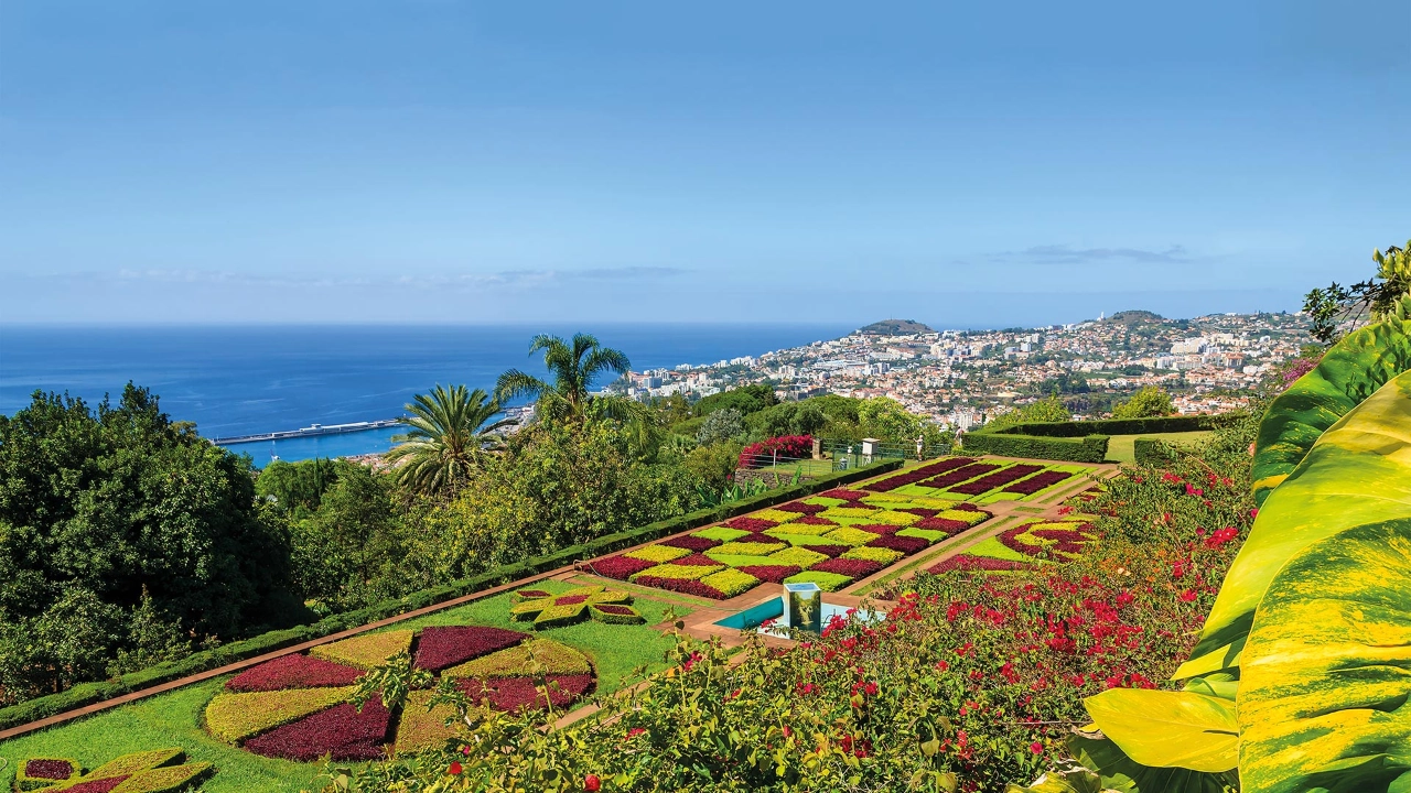 Madeira & Porto Santo | trendtours