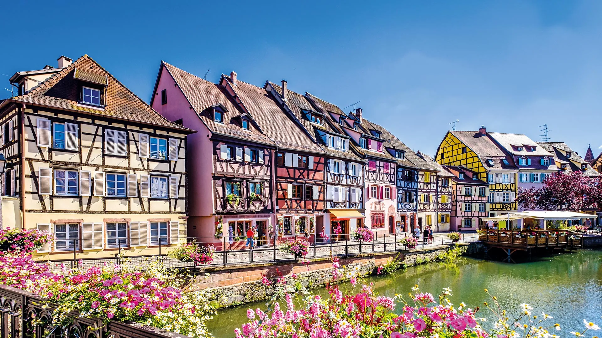 Elsass & Vogesen | trendtours