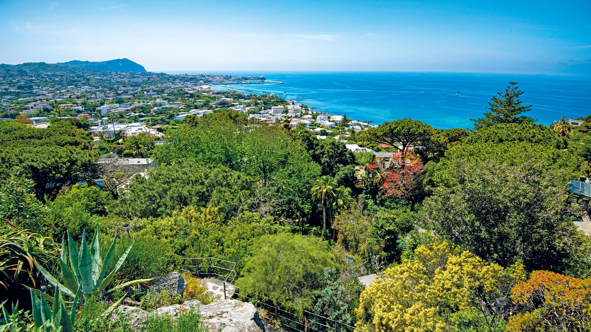 Ischia | trendtours