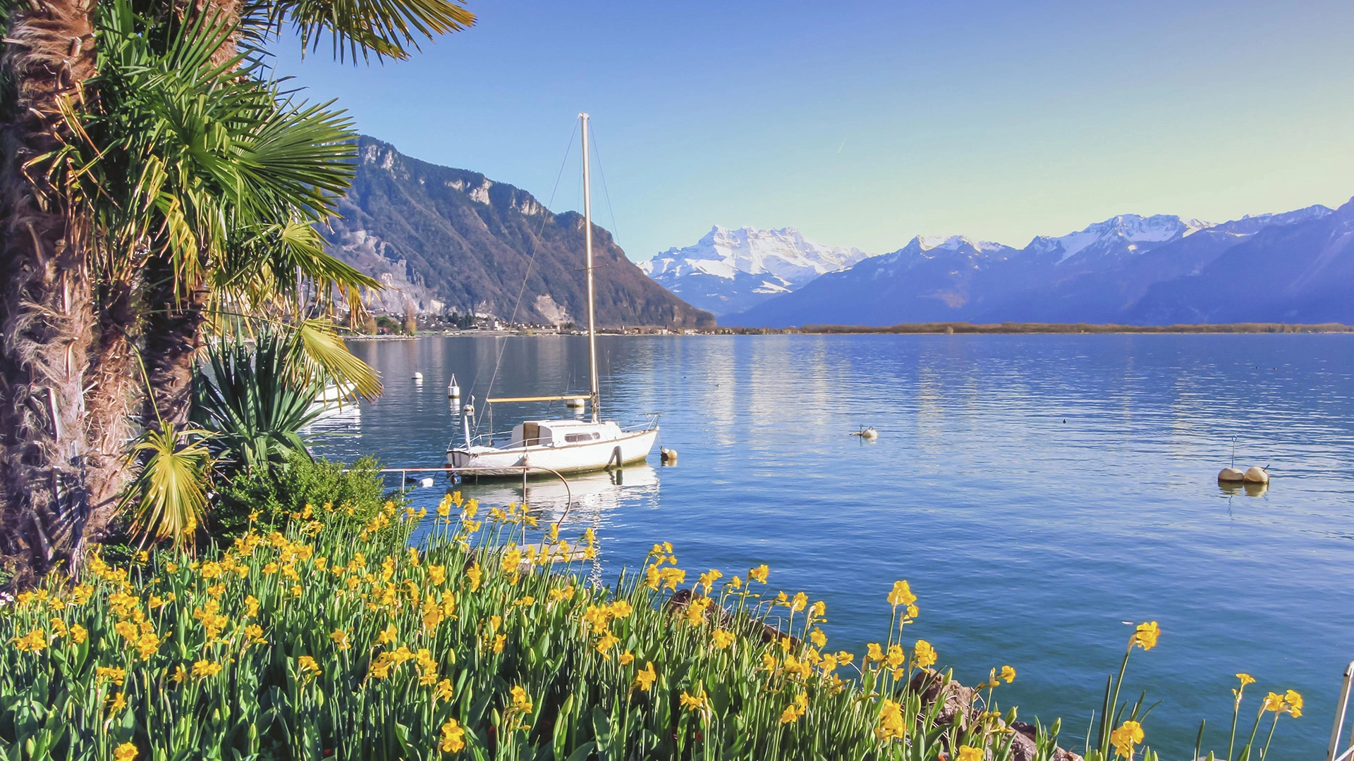 Schönheiten um den Genfer See | trendtours