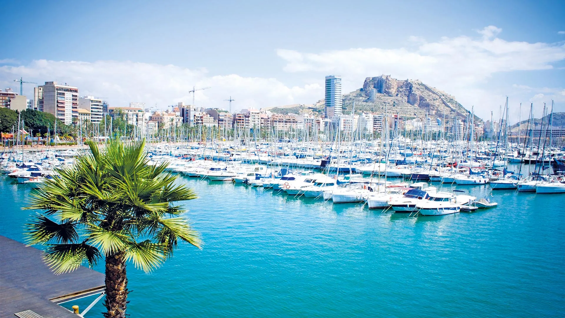 Costa Blanca & Valencia | trendtours