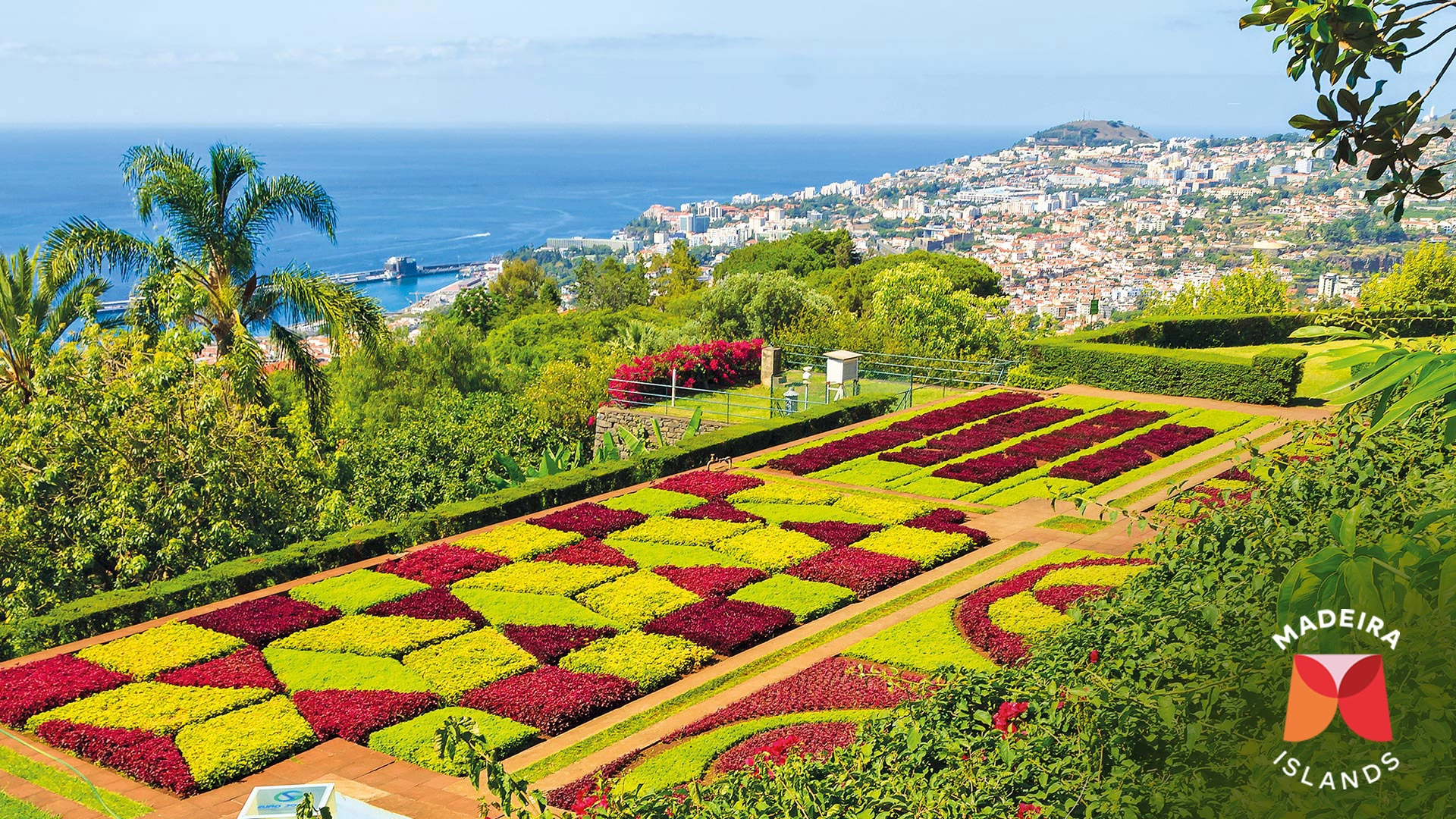 Blütenzauber auf Ihrer Madeira Rundreise
