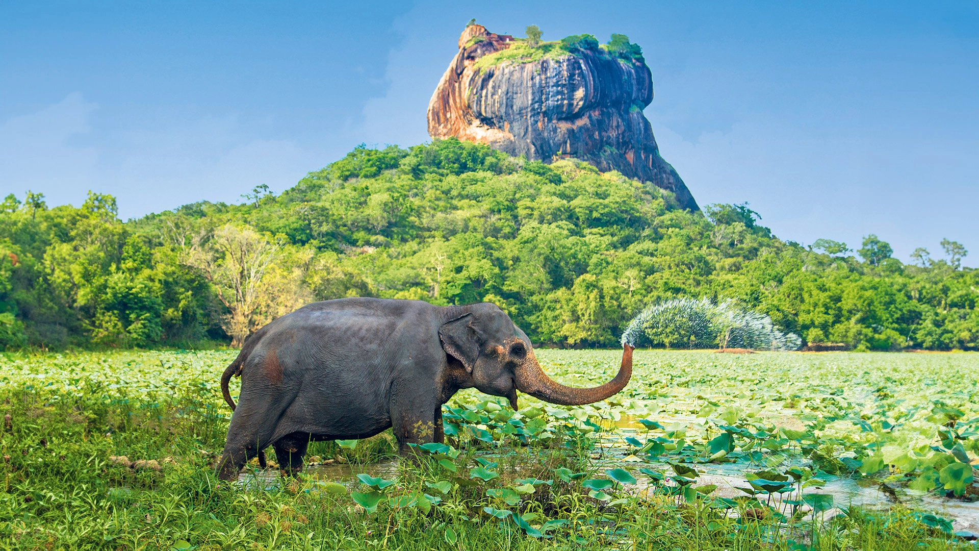 Klein- und Minigruppenreisen | trendtours