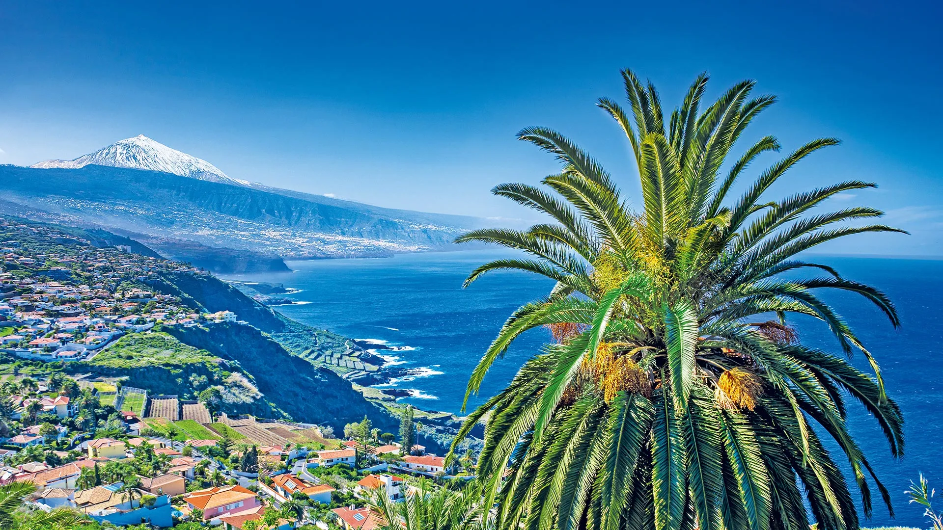 Reisetrends bis zum 31.03.2026 | trendtours
