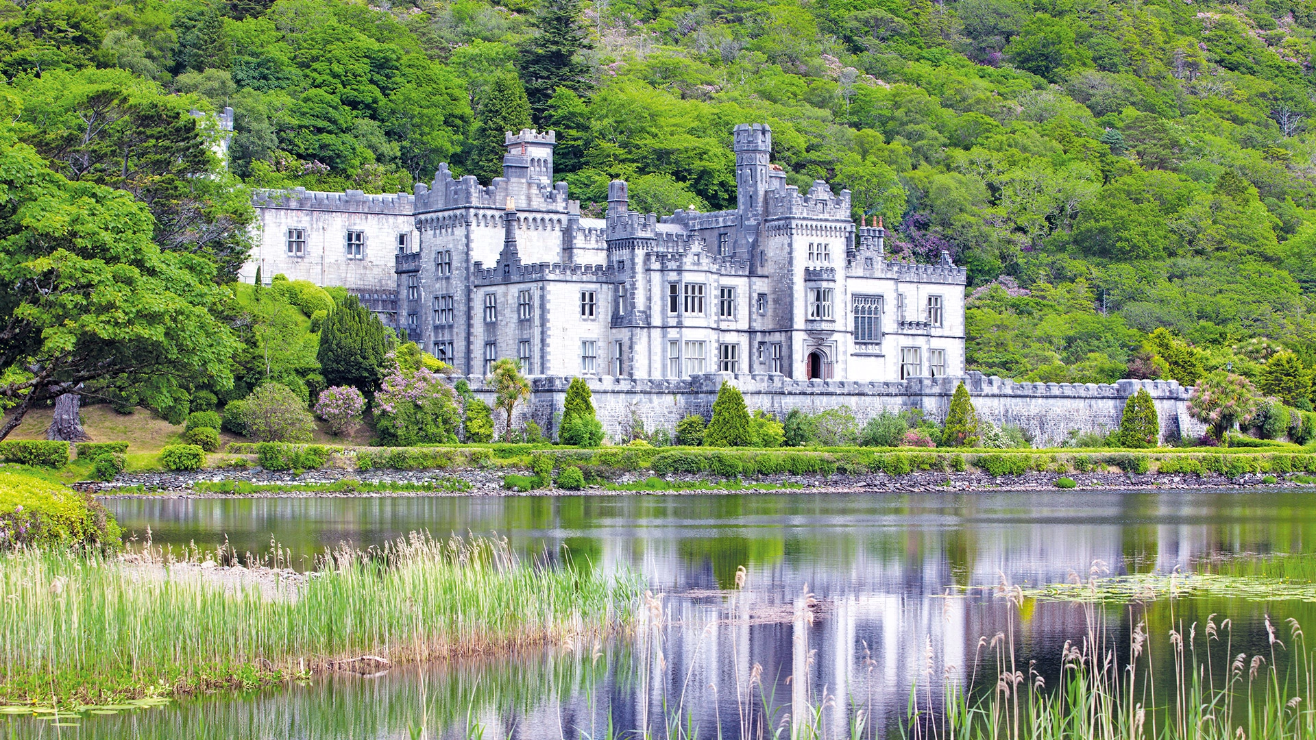 Irland für Entdecker | trendtours