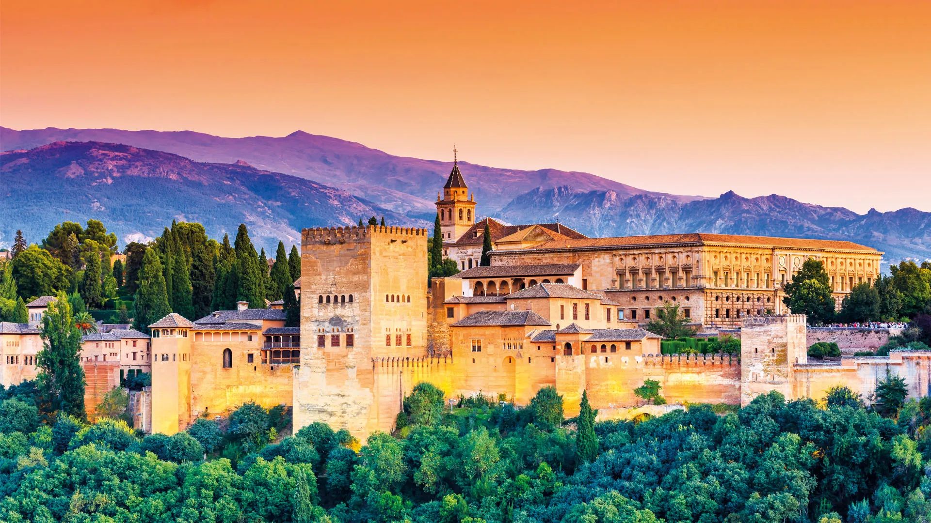 Unsere Angebote bis zum 20.05.2026 | trendtours